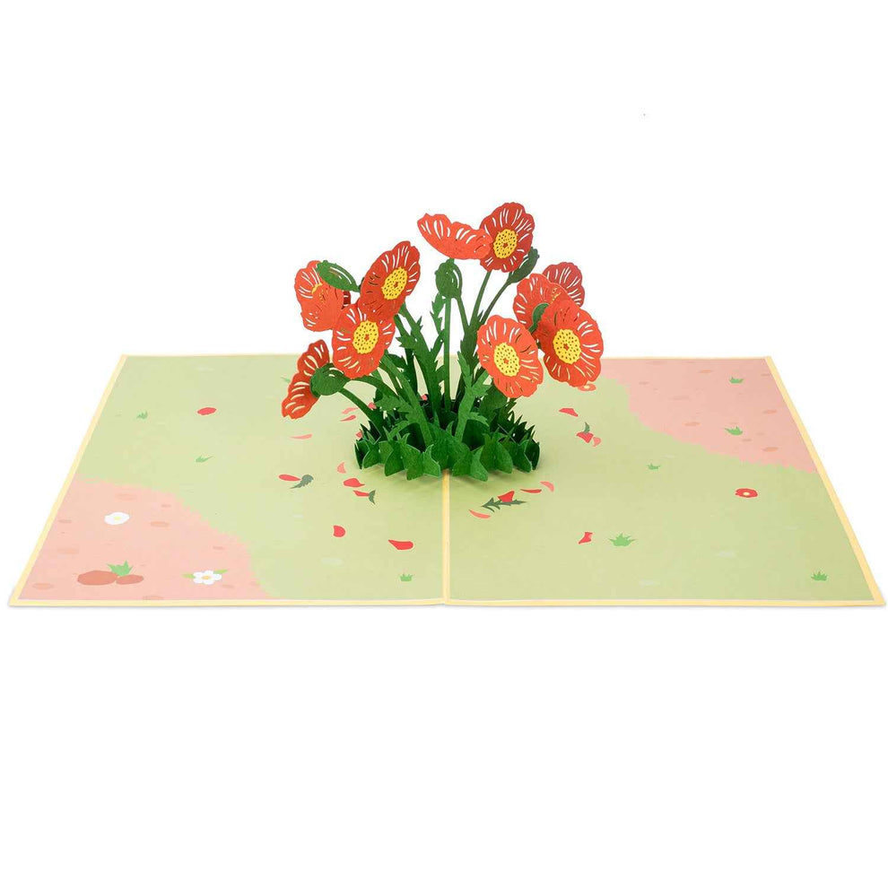 Poppy Flowers Pop Up Card – Paper Love