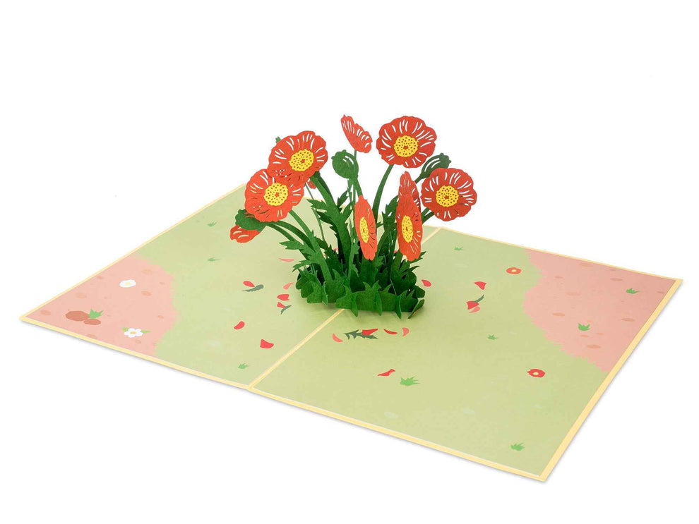 Poppy Flowers Pop Up Card – Paper Love