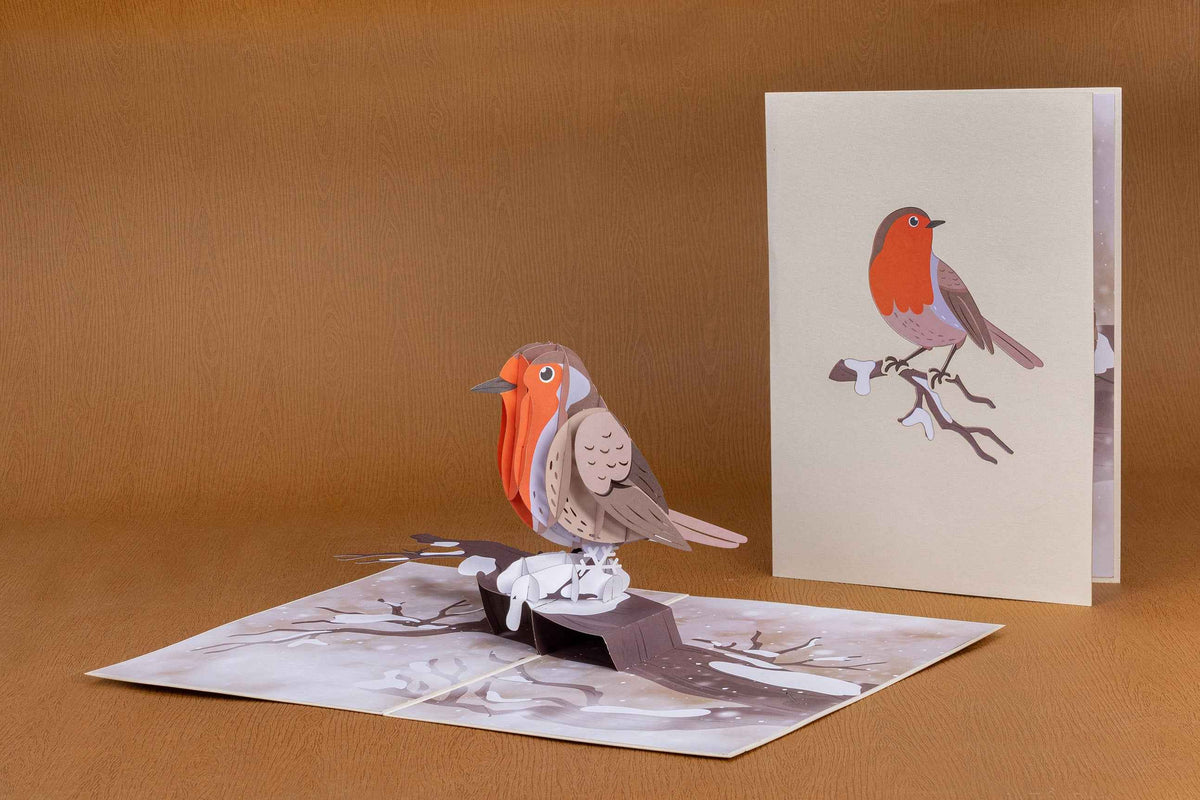 Robin Pop Up Card – Paper Love